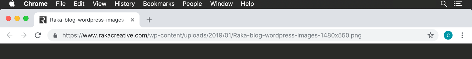 Optimizing WordPress Images: Title, Alt, Description, Huh?