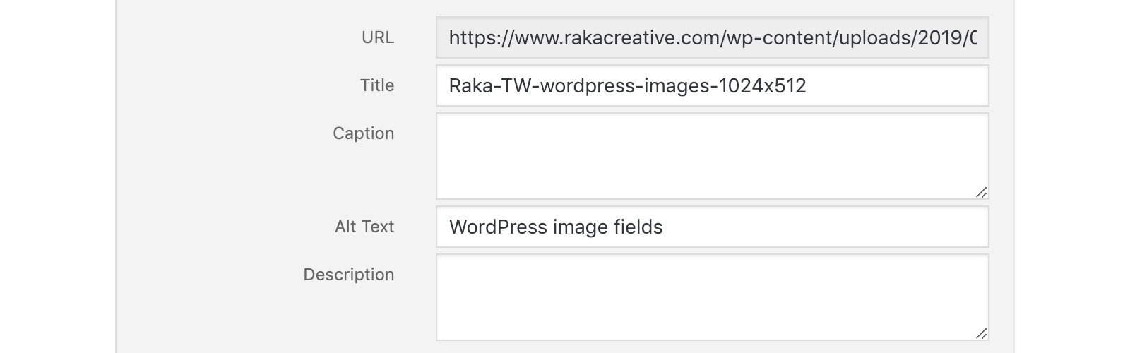 Optimizing WordPress Images: Title, Alt, Description, Huh?